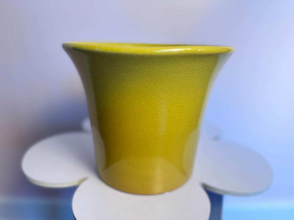 The Yellow Pot – Charleston Florist
